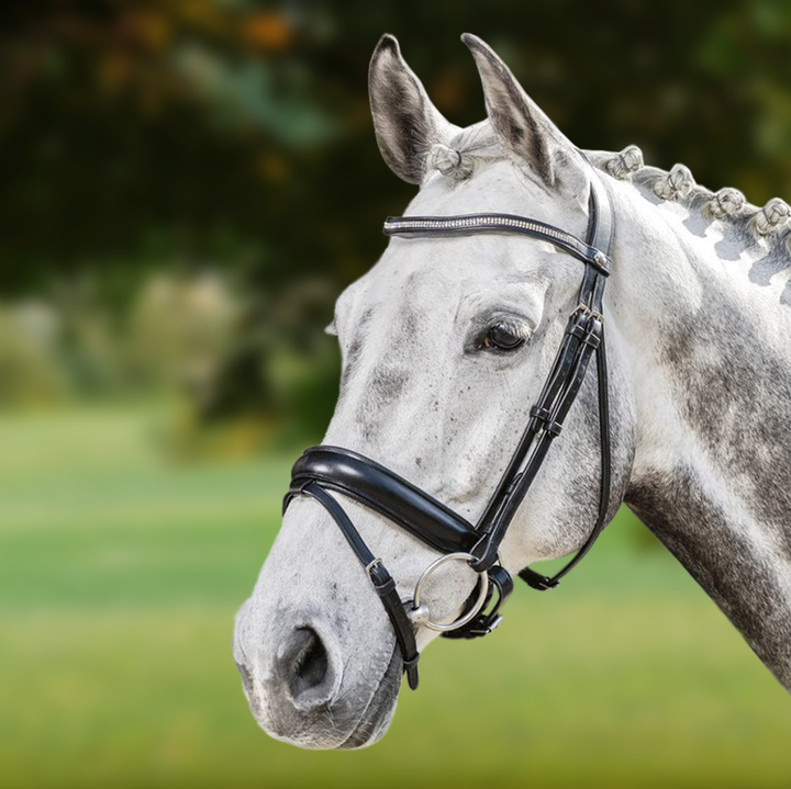 Shire Saddleworld Home